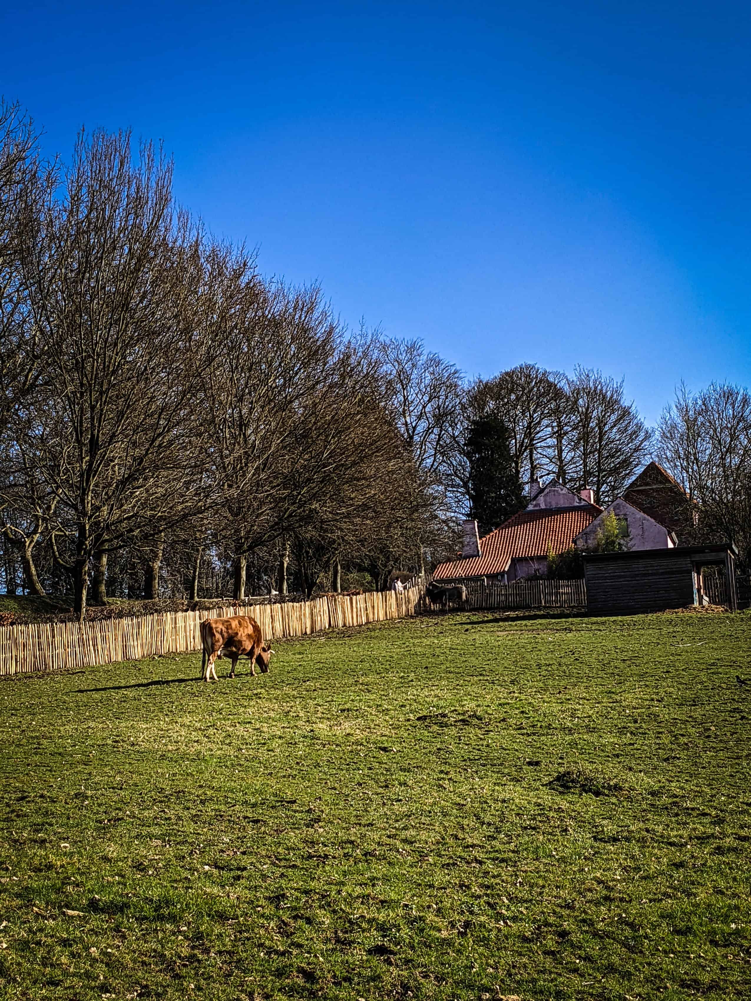 Uccle Farm