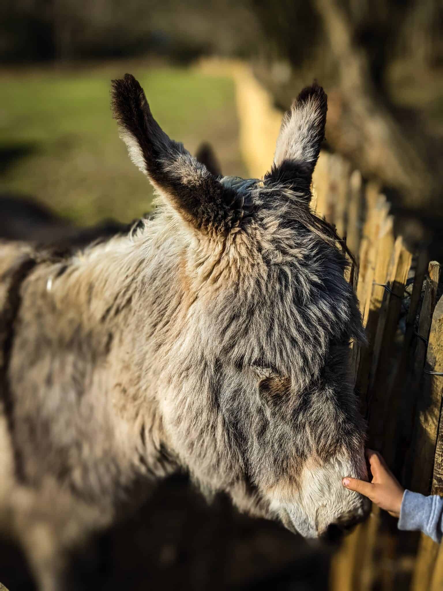 Uccle Farm