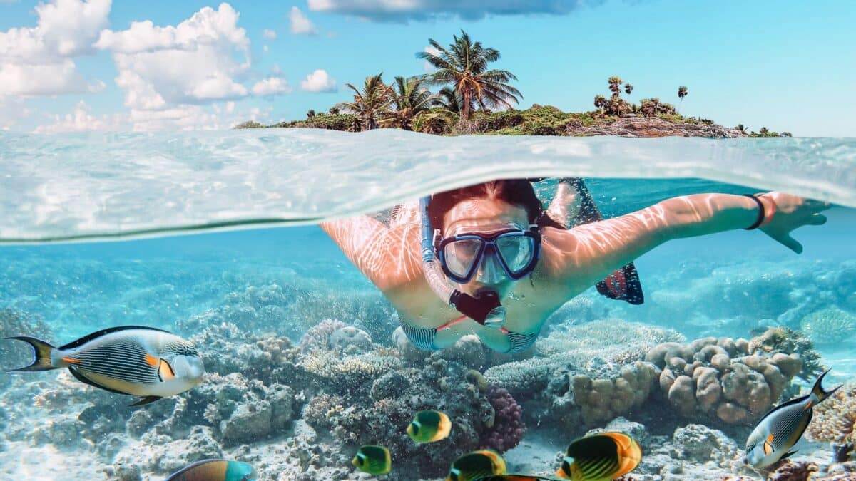 12 Colorful Coral Reefs for an Unforgettable Snorkeling Experience 2025