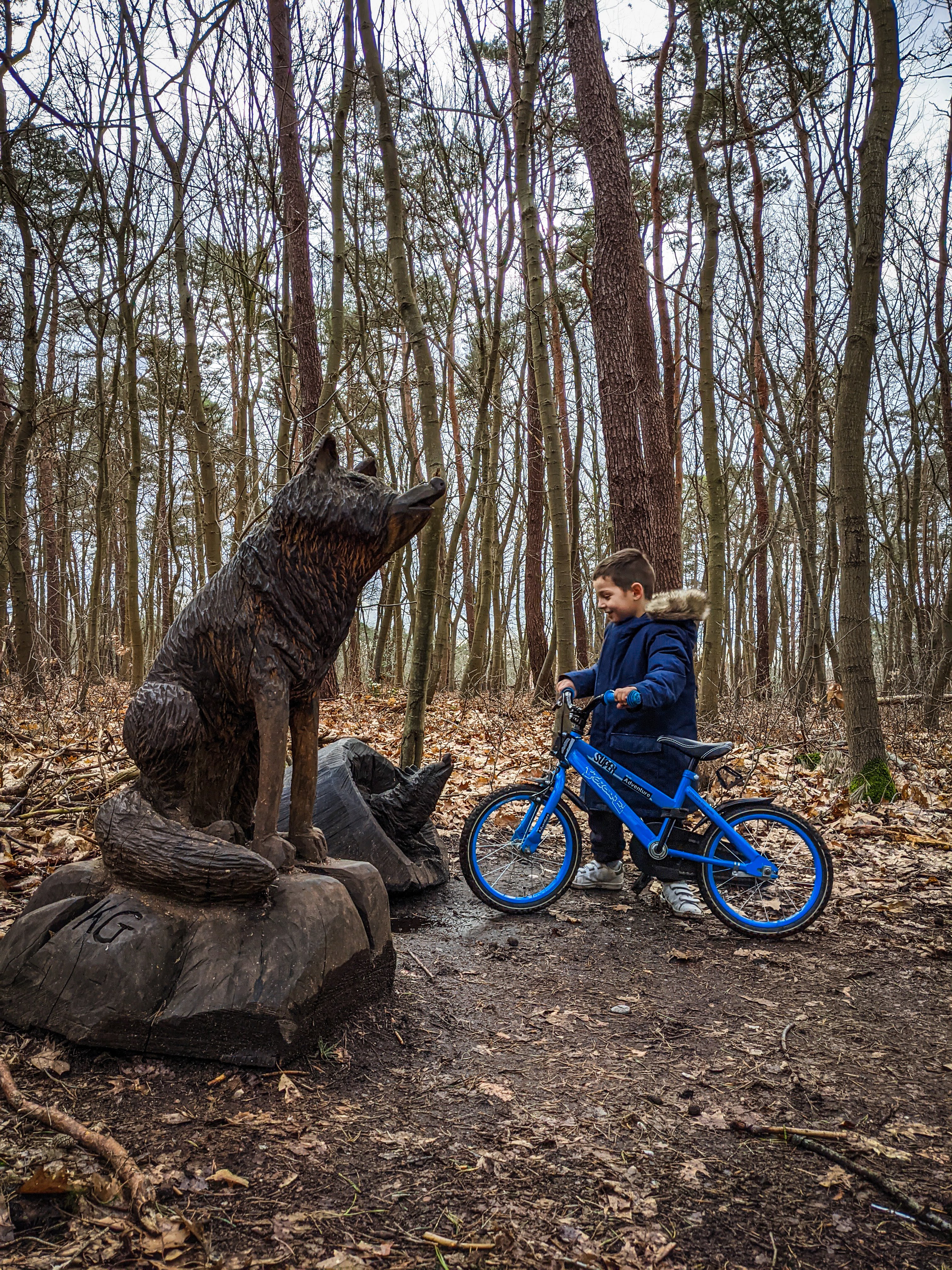 Cycling through trees