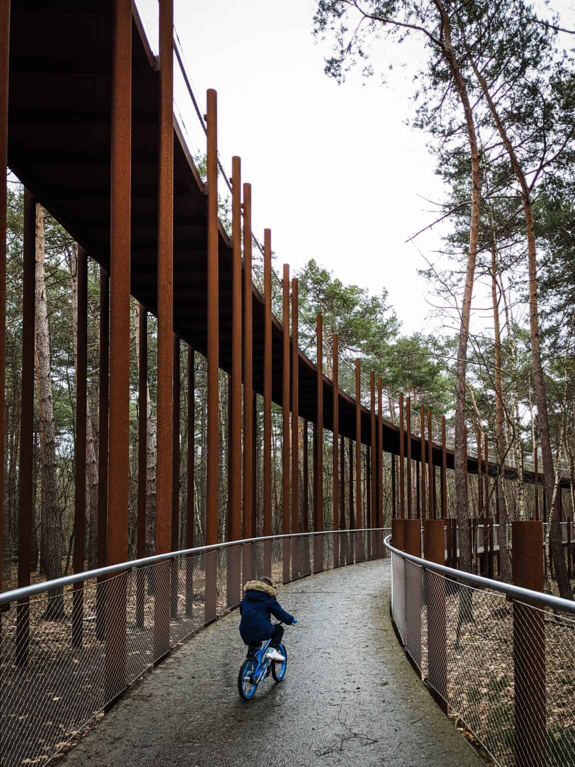 Cycling through trees