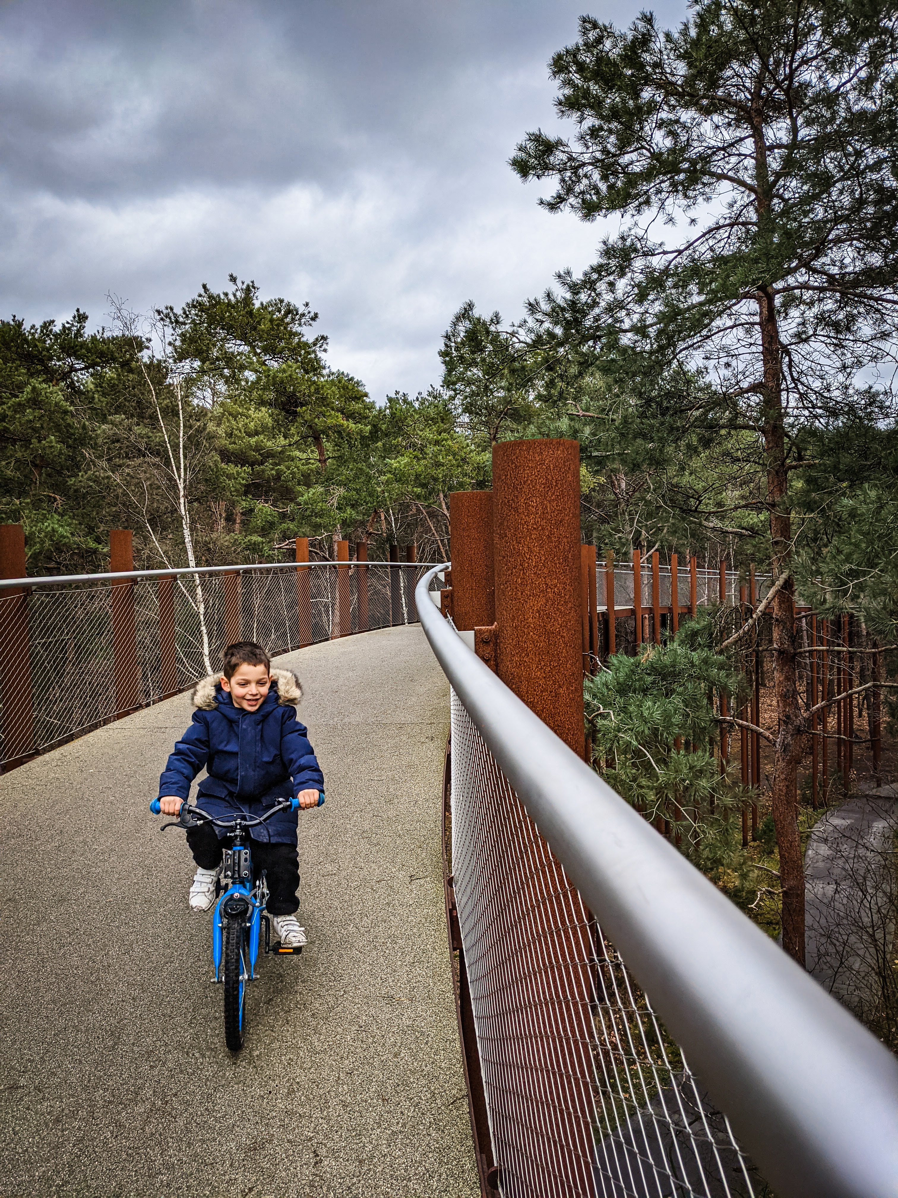 Cycling through trees