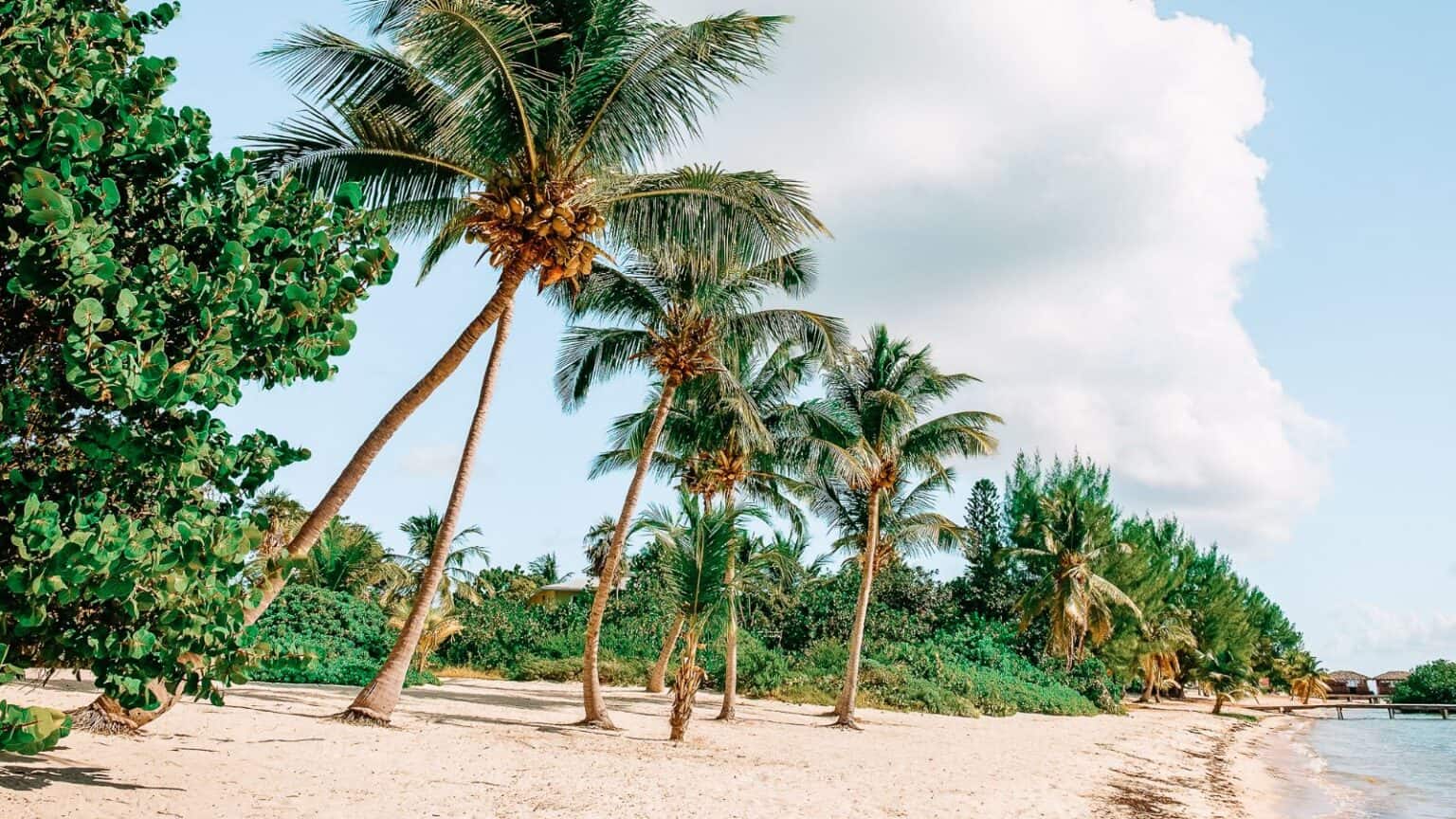12 Hidden Beaches in the Caribbean Where You Can Find Secluded Paradise