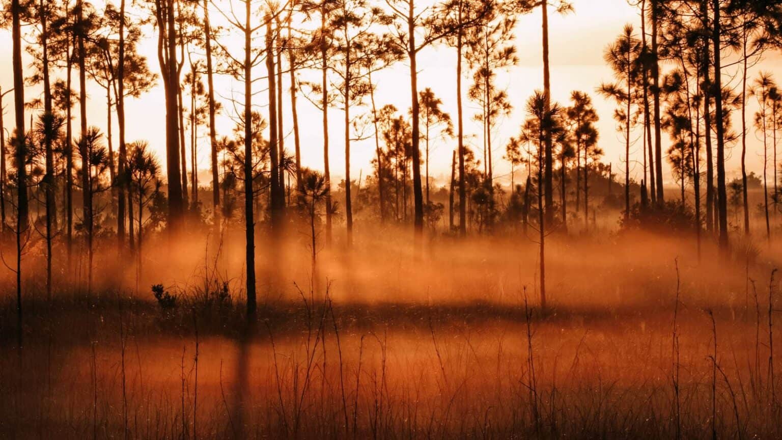 12 Wonderful American Wilderness Areas for the Ultimate Adventure