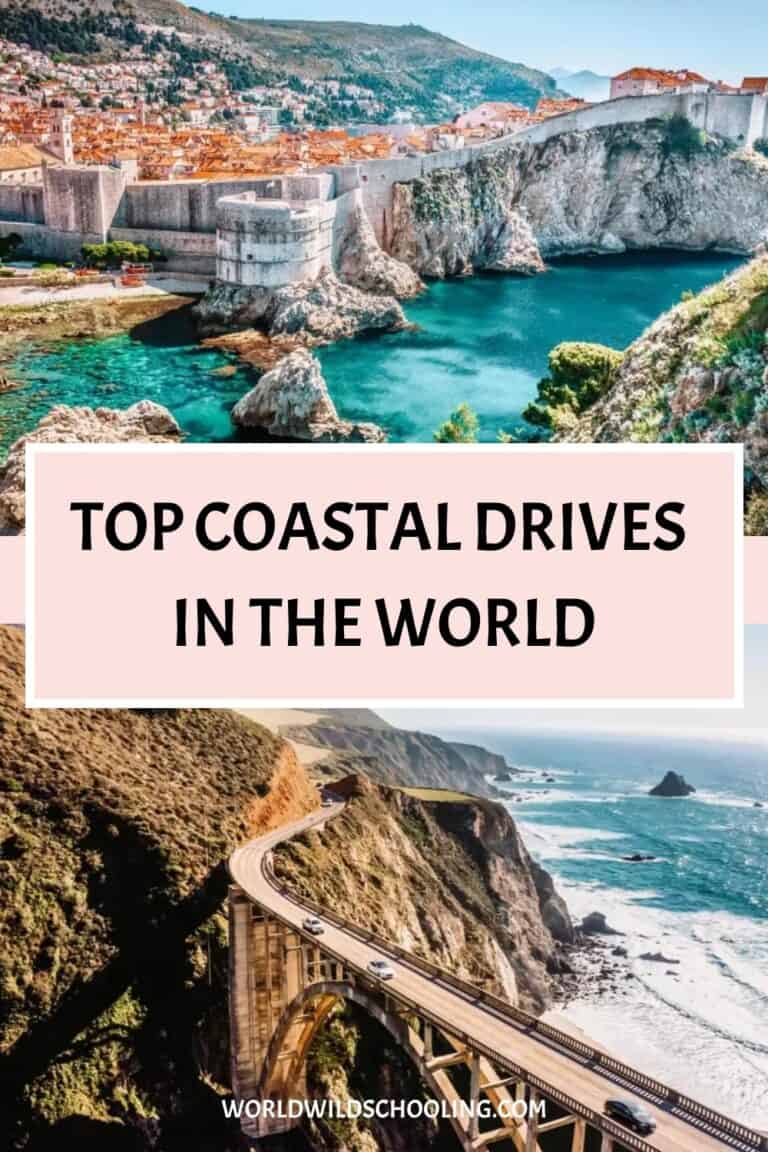 12 Most Stunning Coastal Drives in the World You Must Not Miss