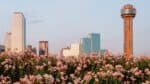 12 American Towns with Stunning Spring Blossoms