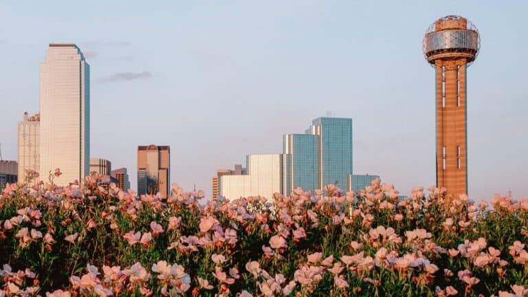 12 American Towns with Stunning Spring Blossoms