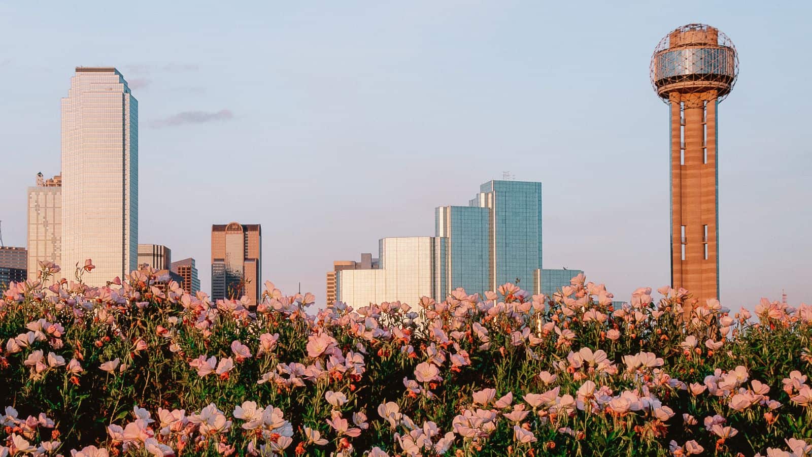 12 American Towns with Stunning Spring Blossoms
