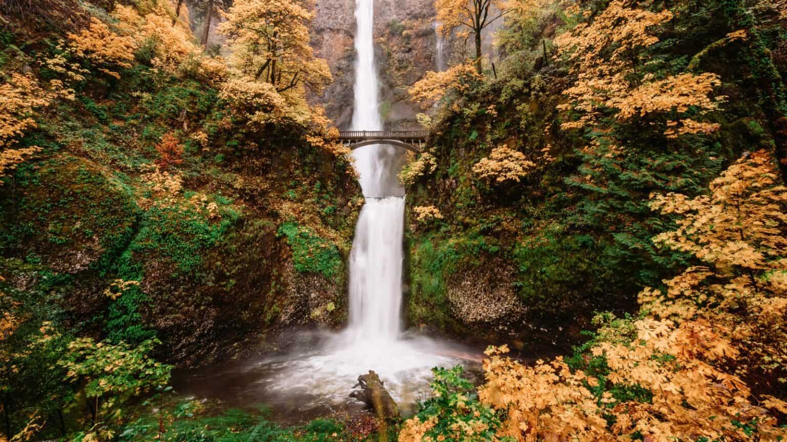 12 US Destinations To Experience the Magic of Fall Foliage 2026
