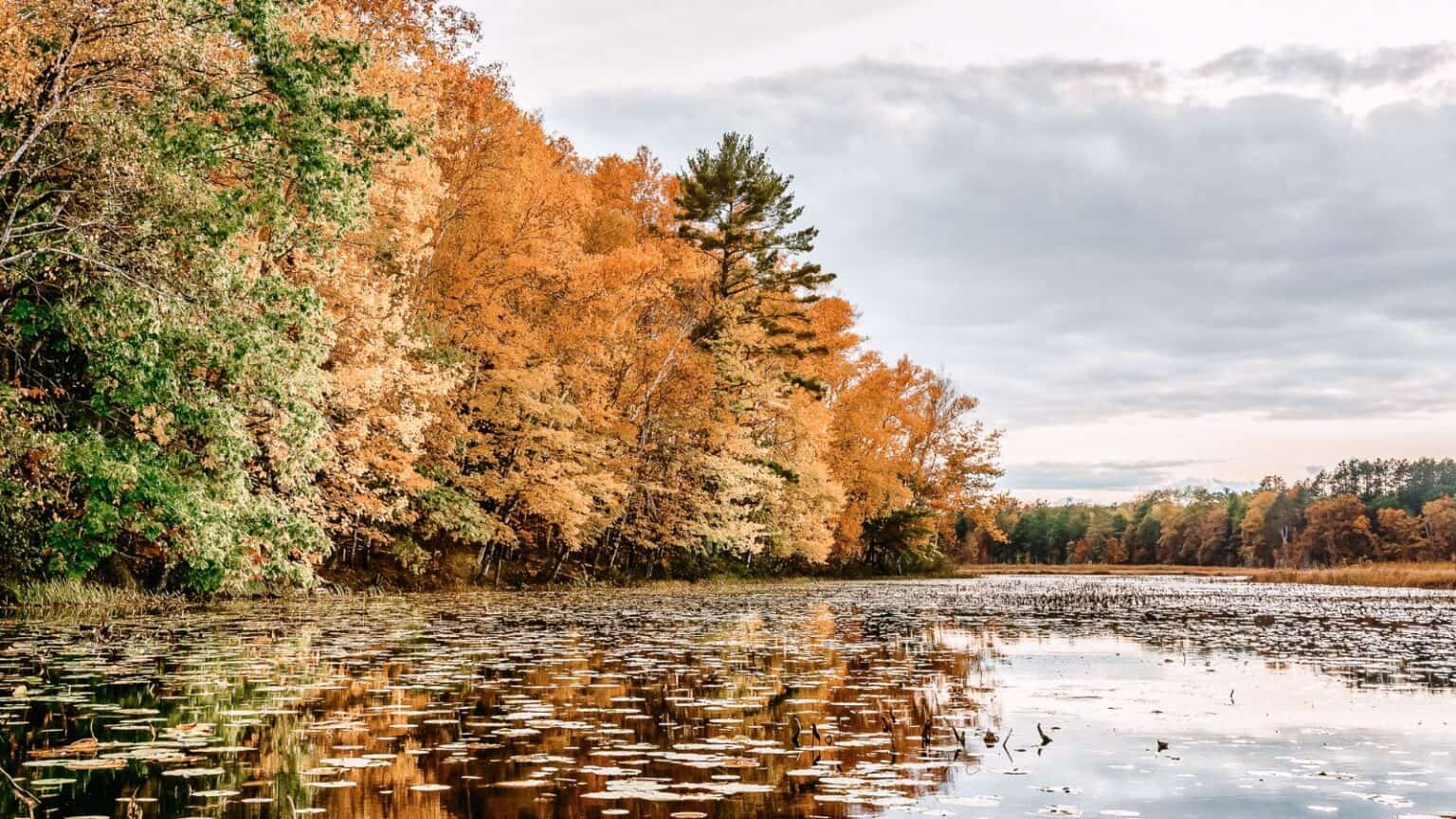 12 US Destinations To Experience the Magic of Fall Foliage 2026