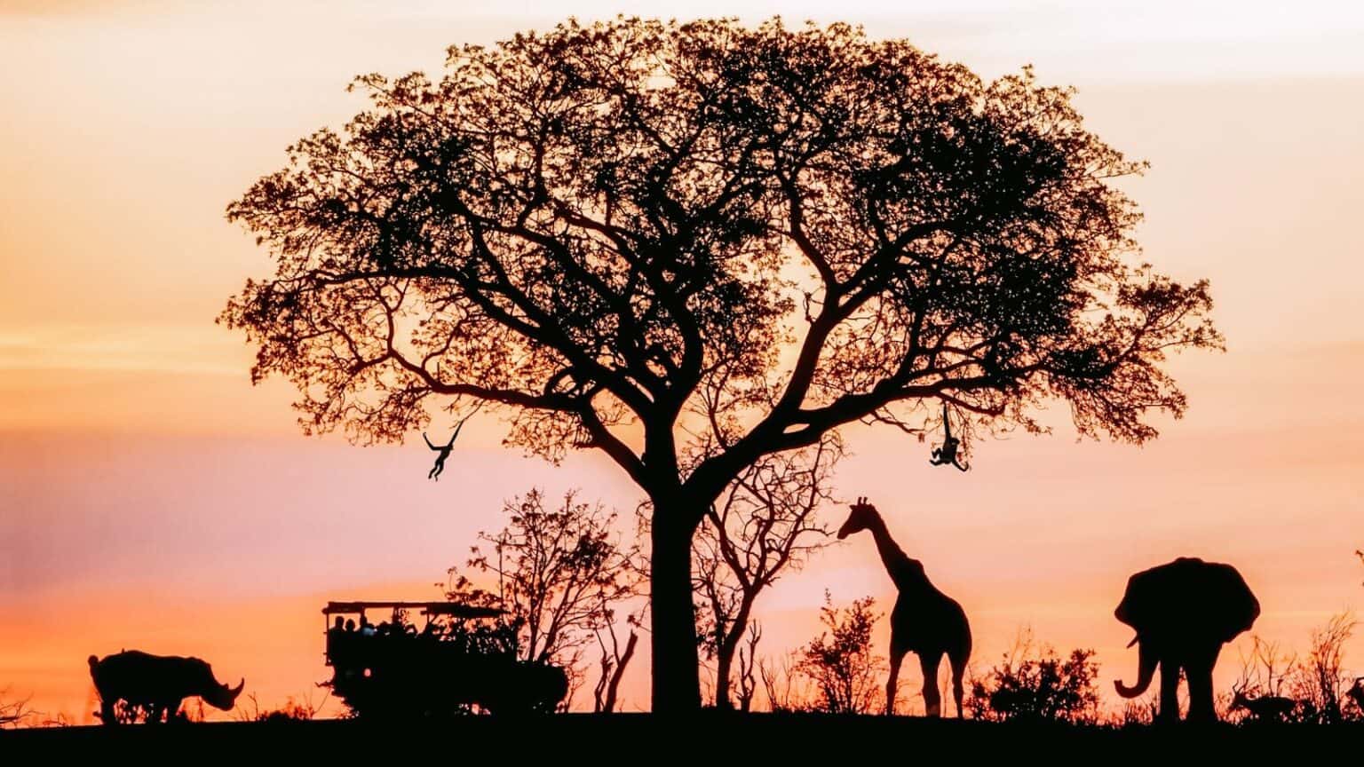 12 Destinations in the World for an Unforgettable Adventure 2026