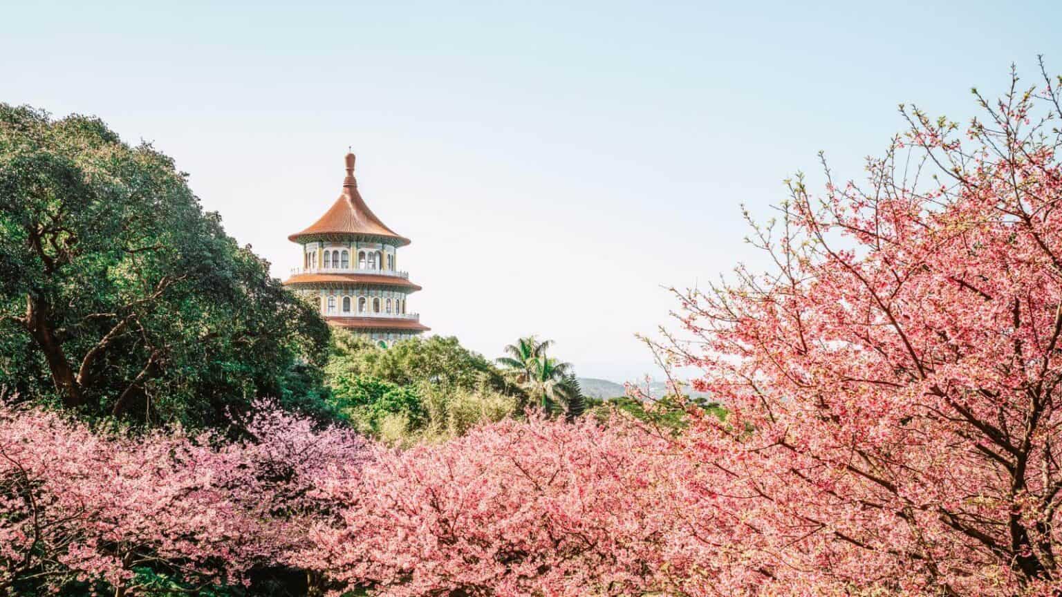 12 Most Stunning Cities In The World For Cherry Blossoms To Visit In
