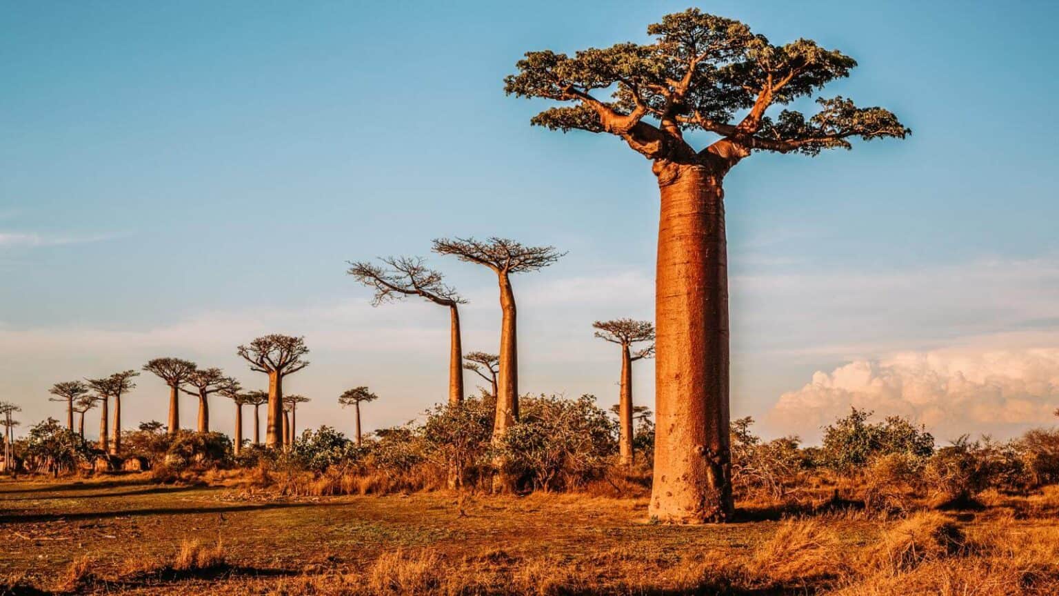 12 Hidden Gems Across the Globe for a Unique Travel Experience 2026