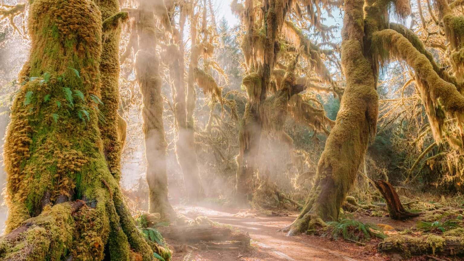 12 Most Scenic Hikes in the US for Nature Lovers