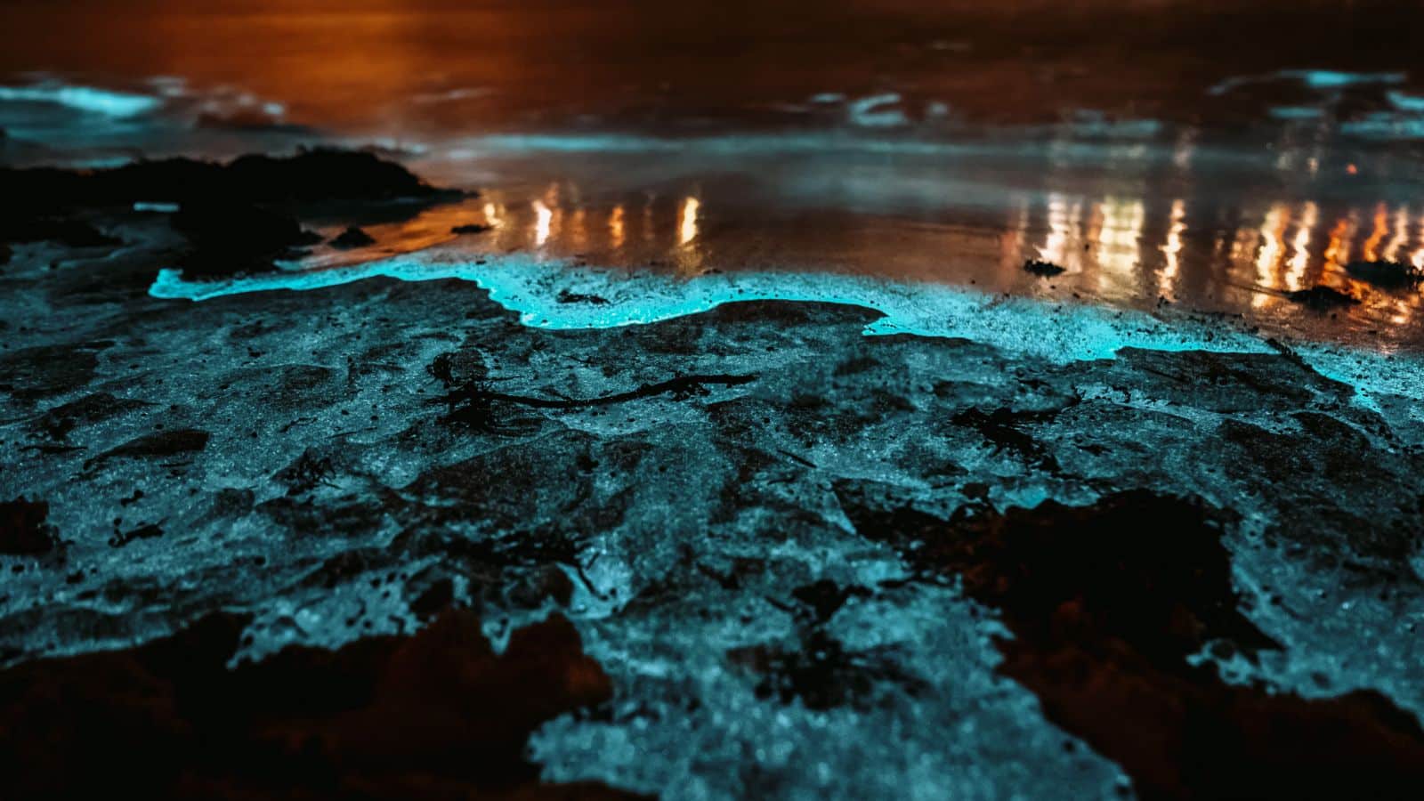 12 Must-See Natural Phenomena Around the World 2025