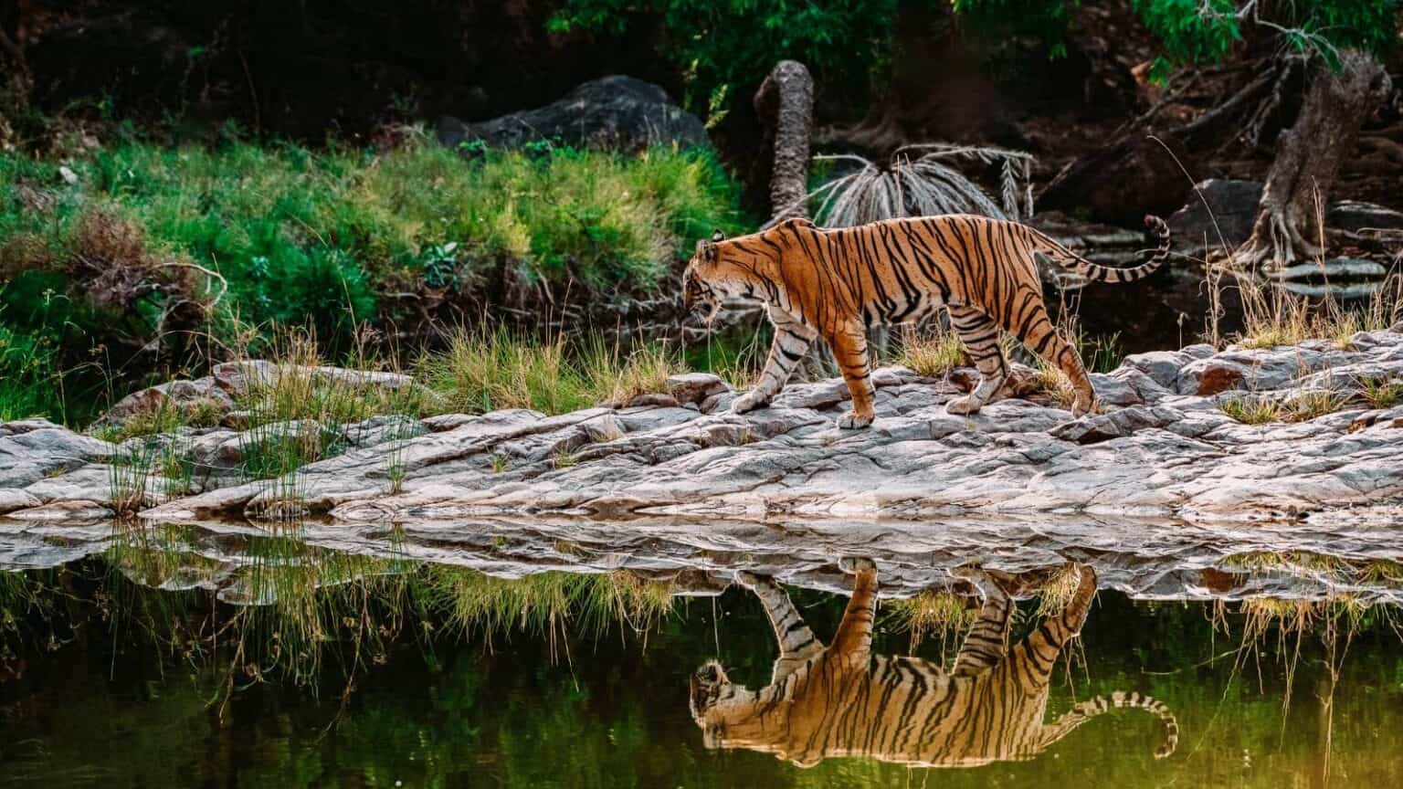 12 Must-Visit National Parks Around the World for Nature Lovers 2026