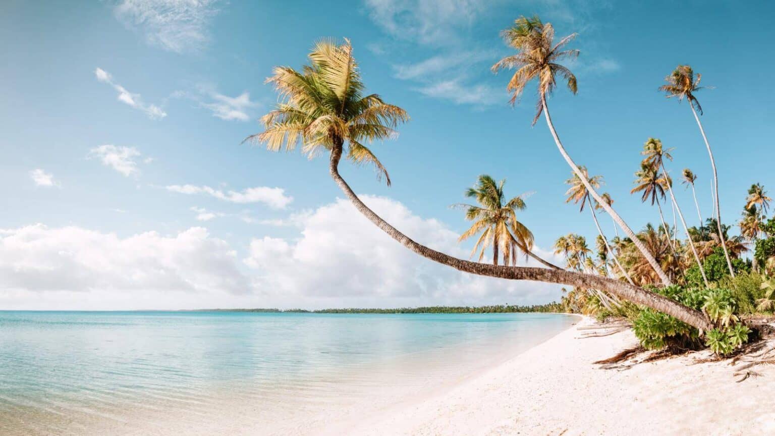 12 White Sand Beaches in the Caribbean You Will Love