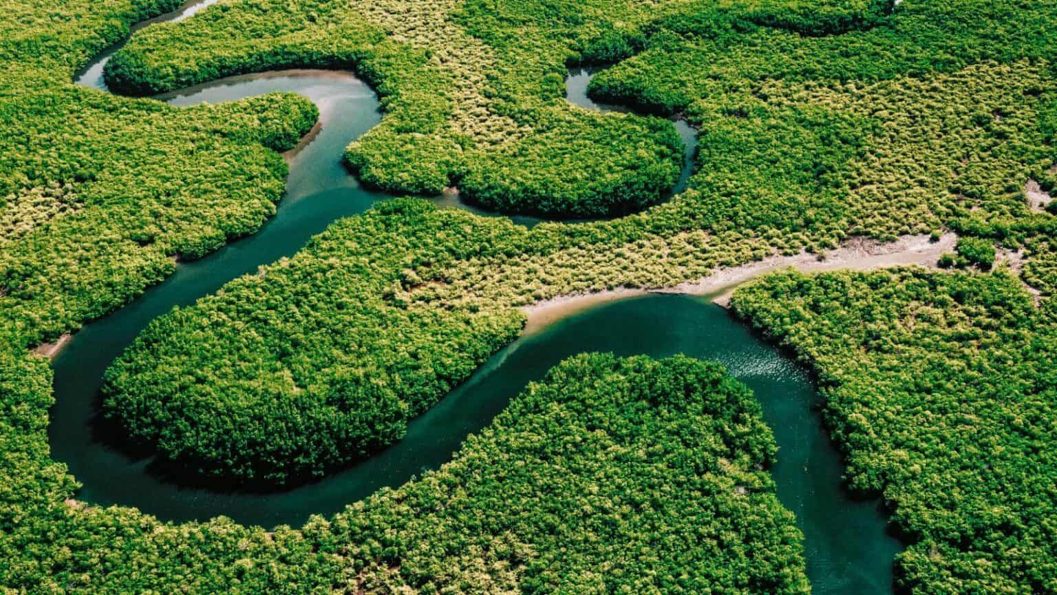 12 River Cruises for a Unique Perspective of the World 2026