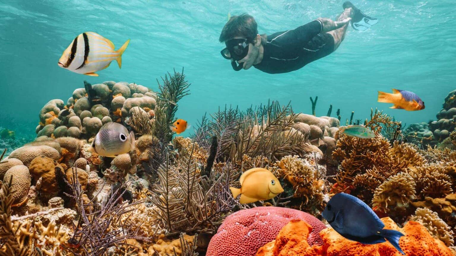 12 Colorful Coral Reefs for an Unforgettable Snorkeling Experience 2025