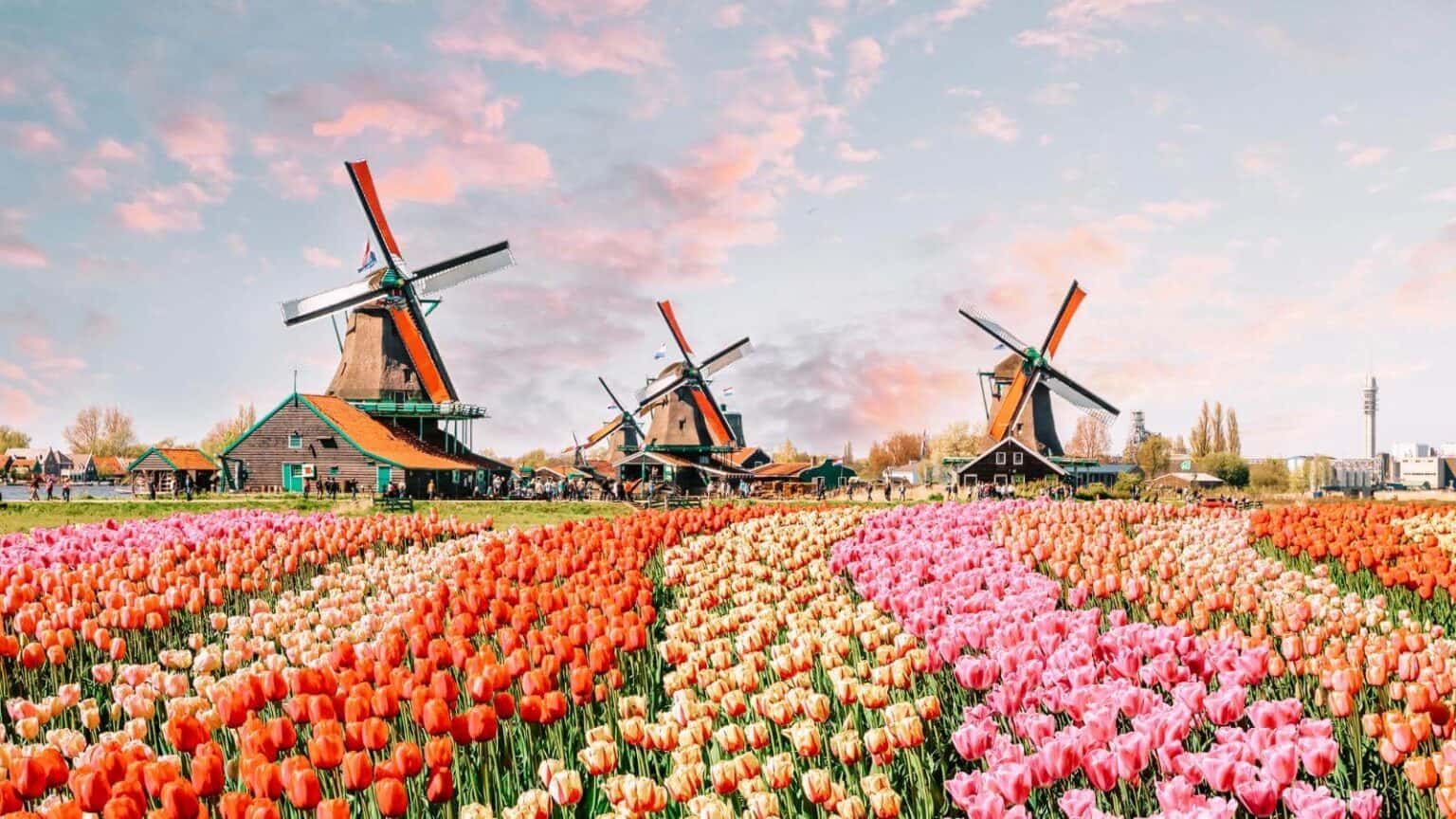12 Must-Visit Cities in the Netherlands That Go Beyond Amsterdam