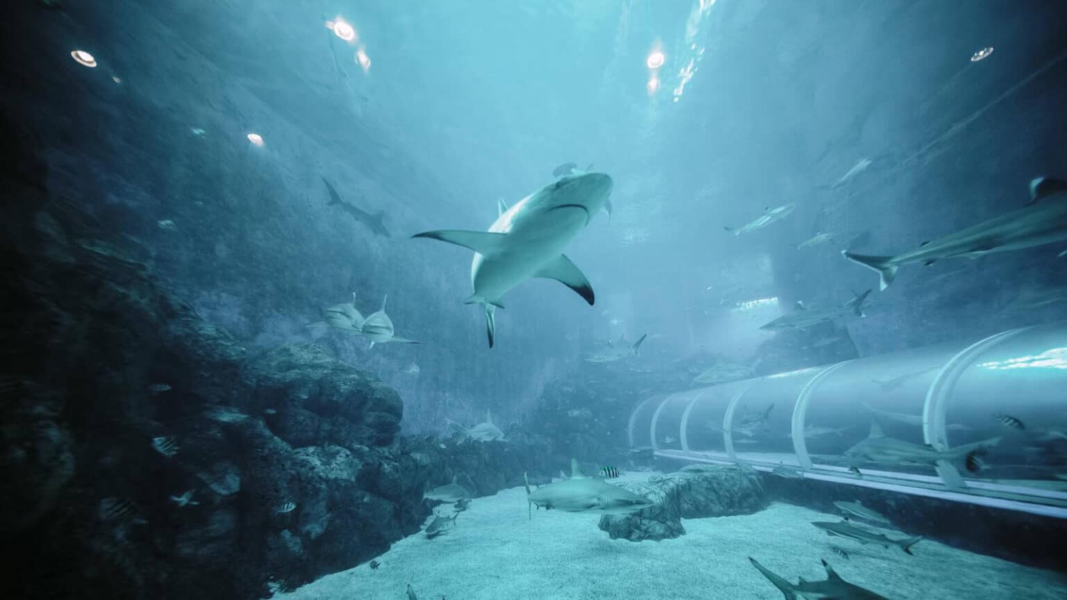 12 Unique Theme Parks for an Unforgettable Family Adventure 2026