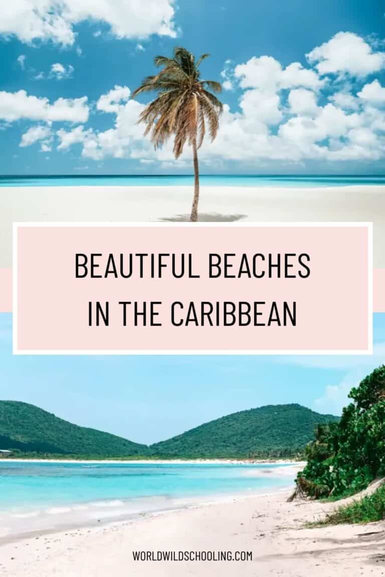 12 White Sand Beaches in the Caribbean You Will Love
