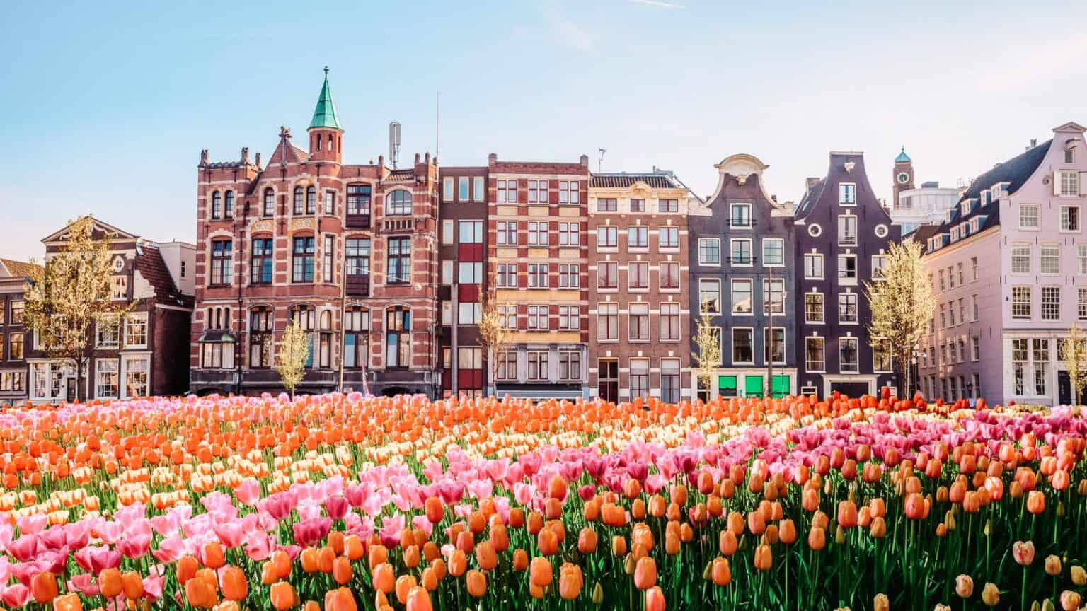 These European Destinations Burst Into Bloom Every Spring — and Their ...