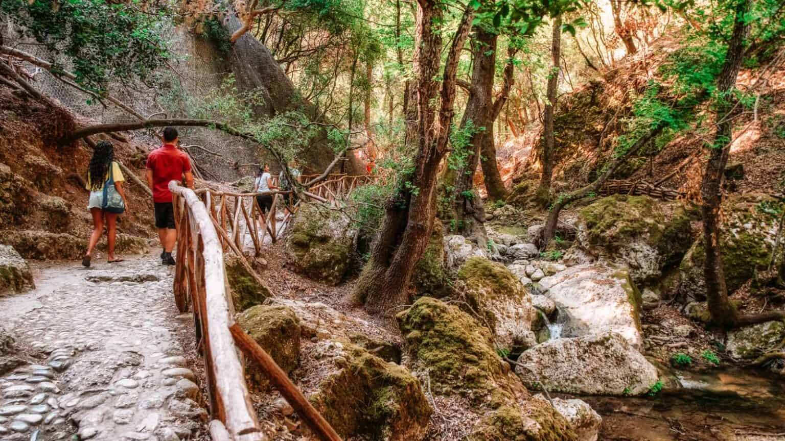 These Greek Islands Are Teeming With Unique Wildlife, From Endangered ...