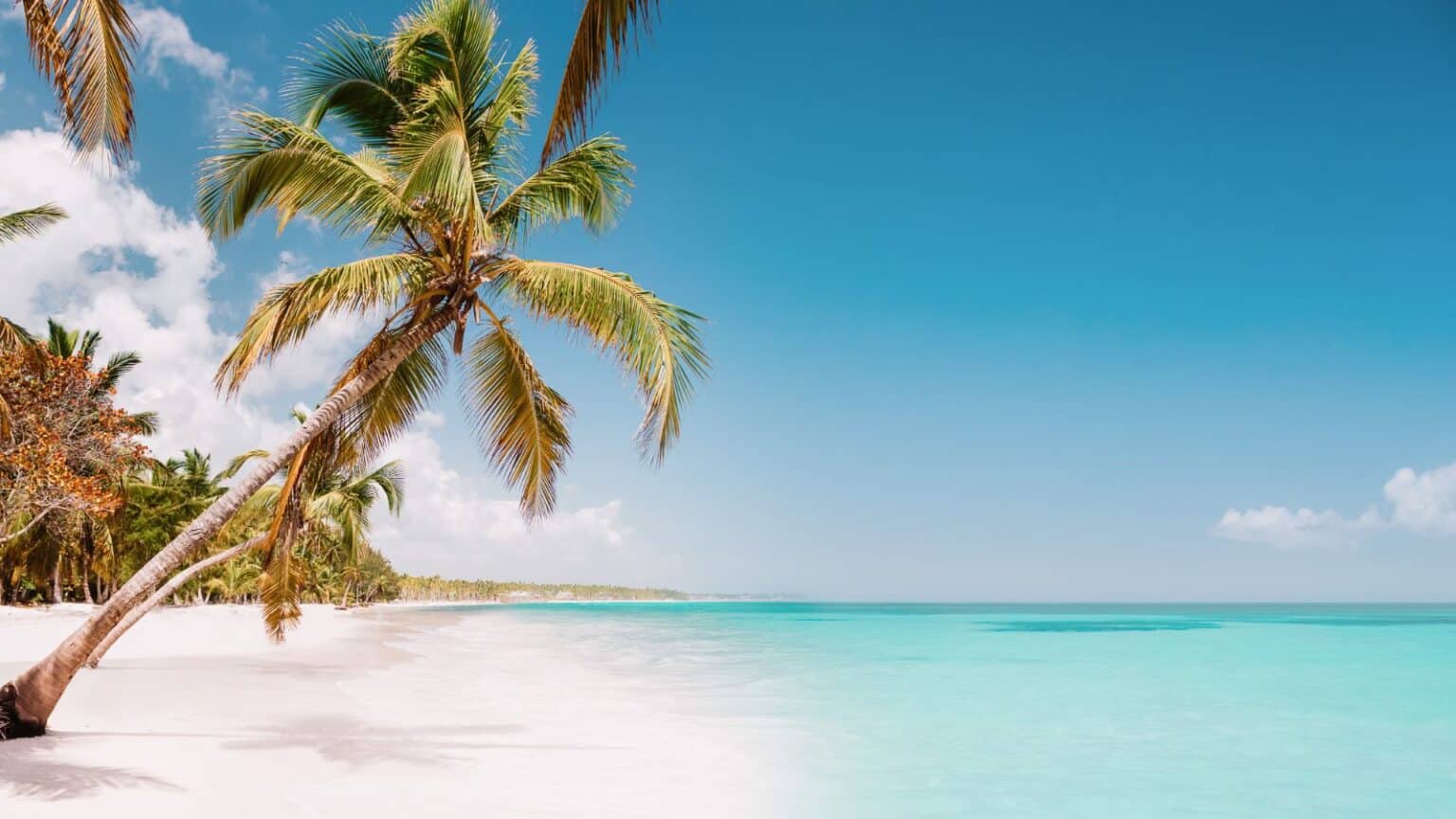 12 White Sand Beaches in the Caribbean You Will Love