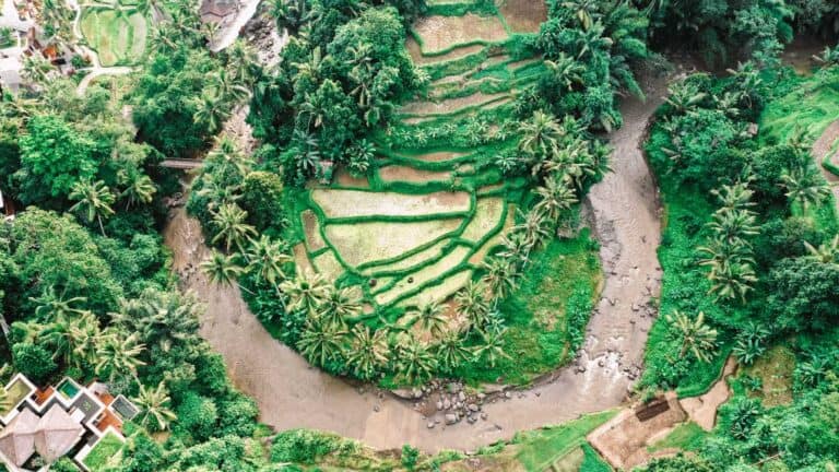 12 Jungle Resorts So Exotic, You'll Forget Wi-Fi Even Exists