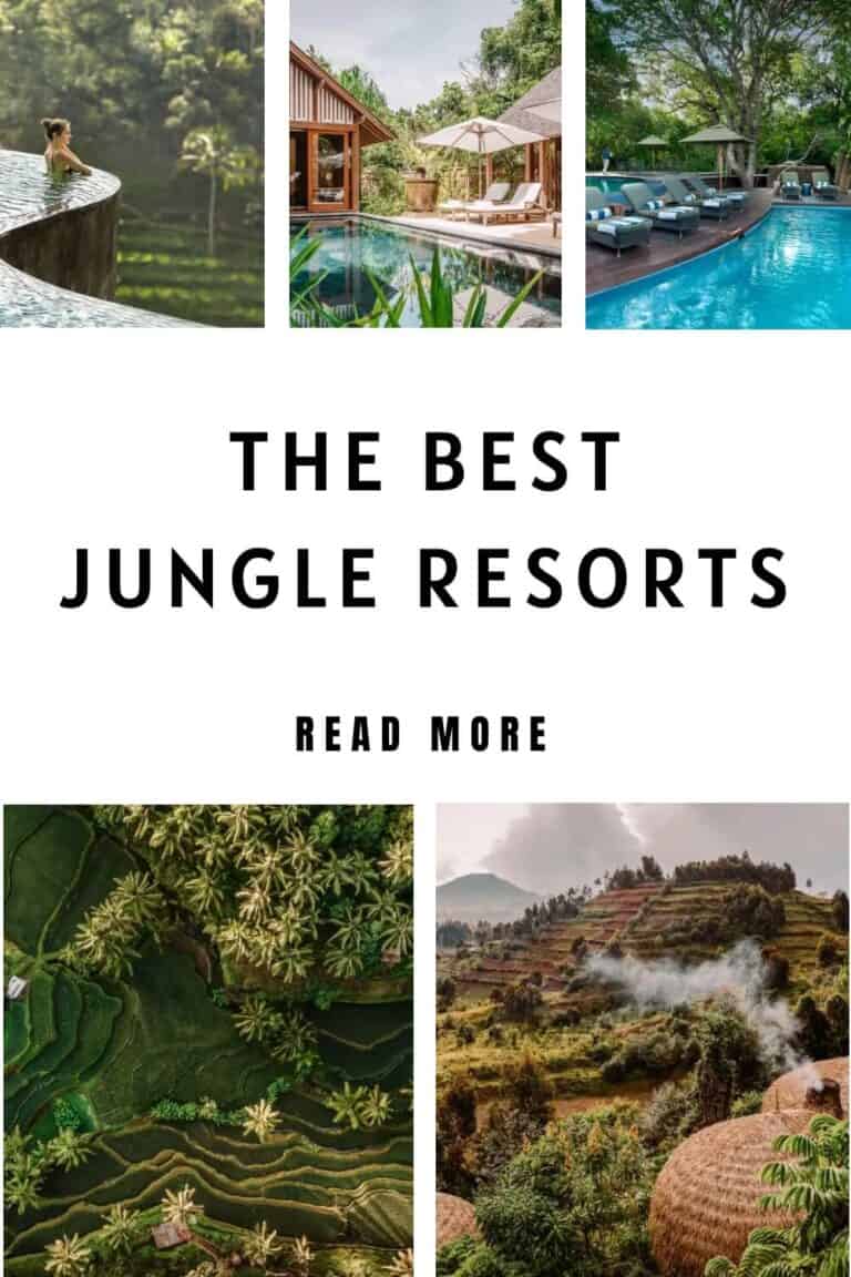 12 Jungle Resorts So Exotic, You'll Forget Wi-Fi Even Exists