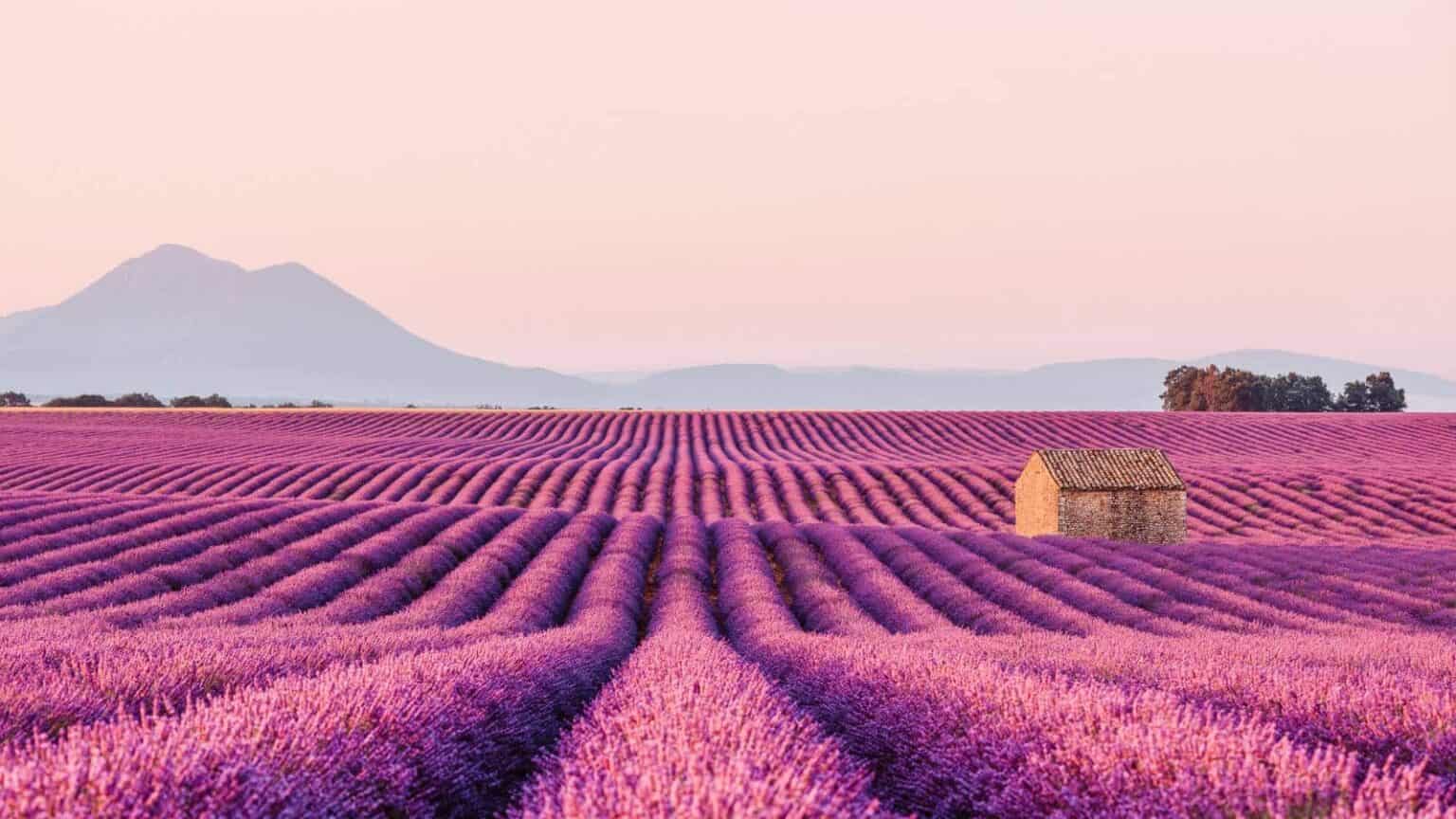 12 Surprising Facts About France You Probably Didn't Learn in French Class