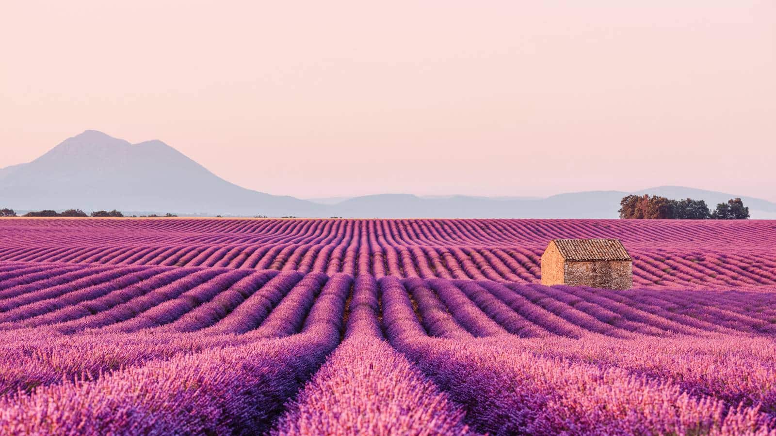 12 Surprising Facts About France You Probably Didn't Learn in French Class