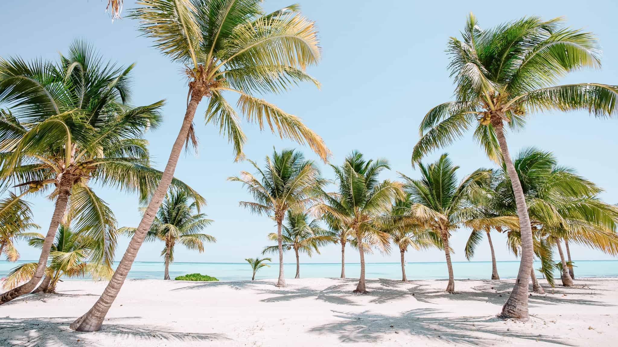 Think You Know the Caribbean? These 12 Fun Facts Will Prove You Wrong