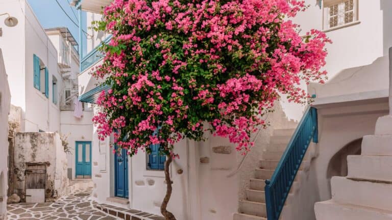 These Stunning Destinations in Greece Are Perfect for Digital Nomads ...