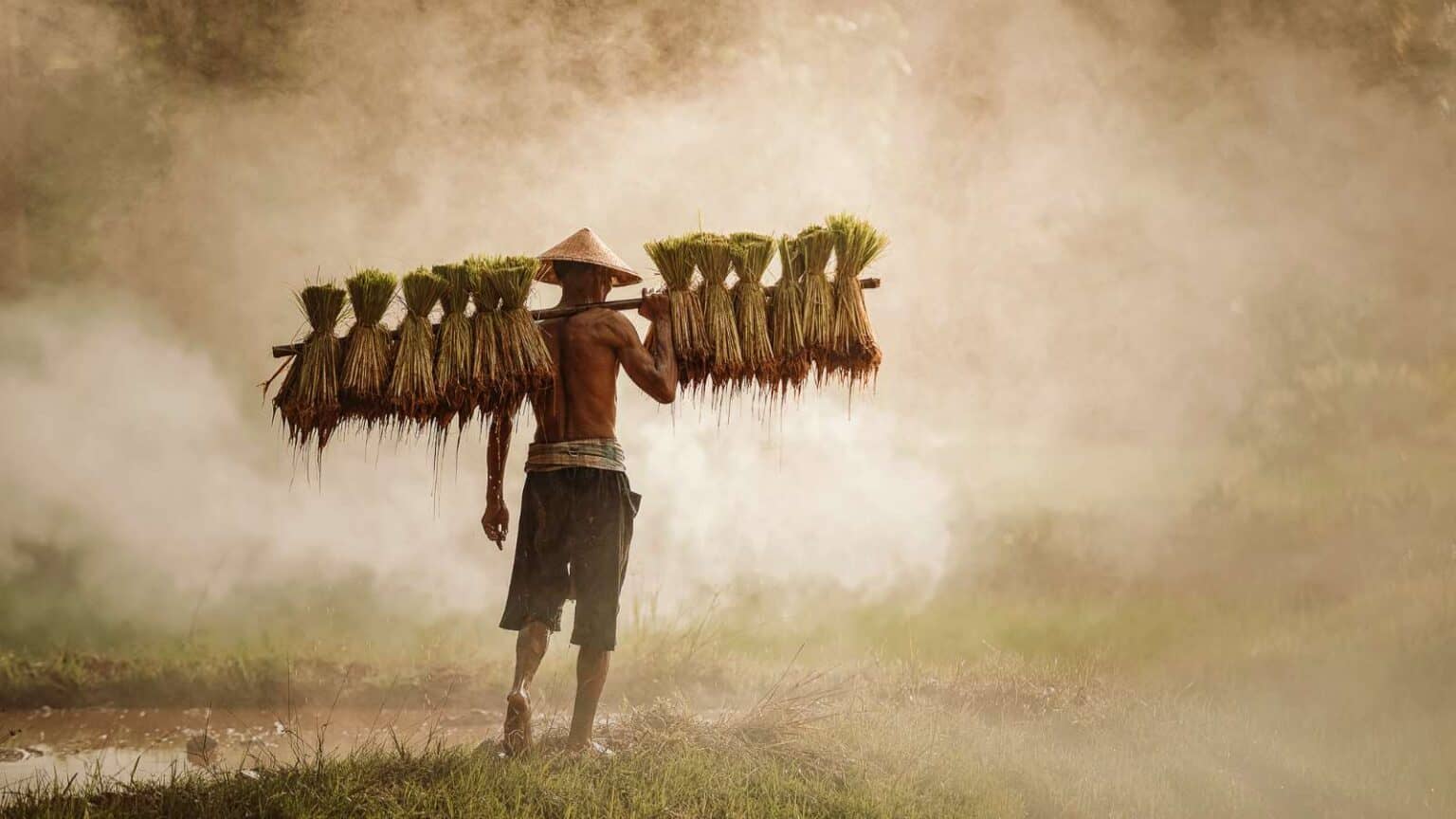 12 Tips for Eco-Friendly Trips for Sustainable Adventures