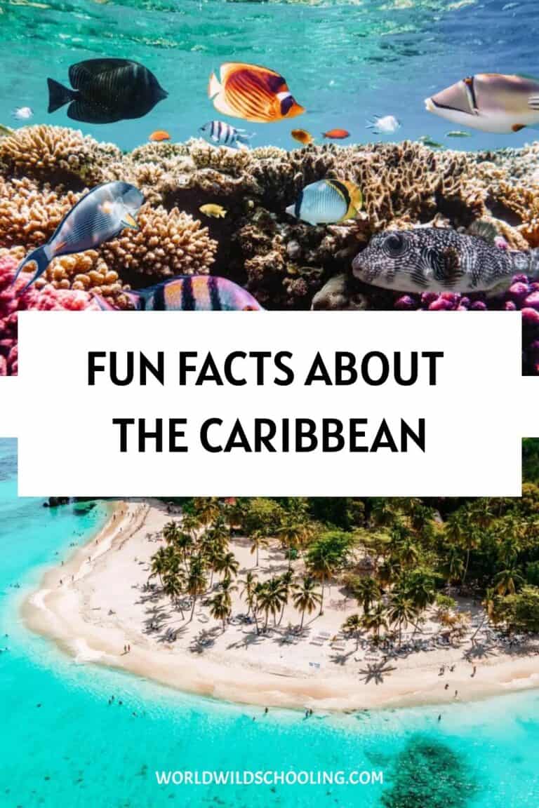 Think You Know the Caribbean? These 12 Fun Facts Will Prove You Wrong