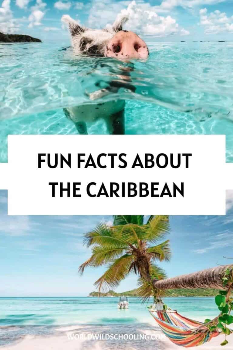 Think You Know the Caribbean? These 12 Fun Facts Will Prove You Wrong