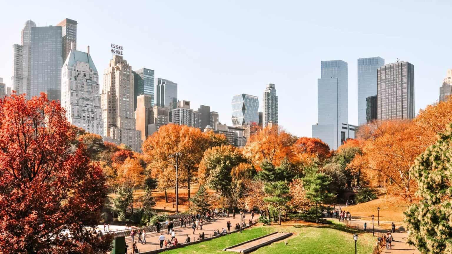 The 12 Safest Big Cities in the US Where You Can Walk at Night Without ...