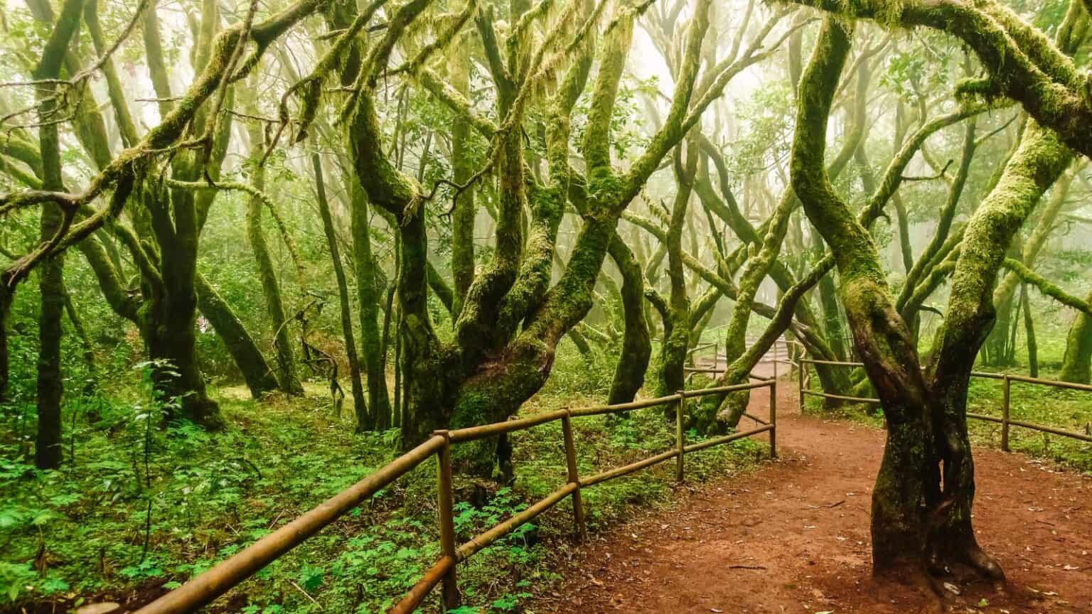 12 UNESCO World Heritage Sites in Spain You Can't Miss