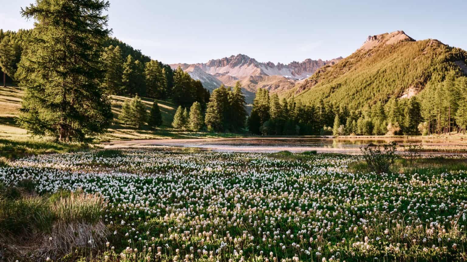 12 Beautiful Hiking Trails in France From Alpine Peaks to Coastal Paths