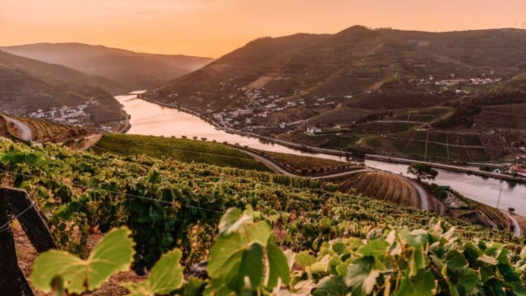 12 Beautiful Hiking Trails in Portugal That Will Make Your Couch Look ...