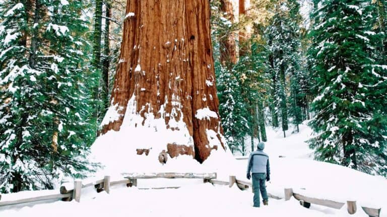12 Beautiful Places for Winter Landscapes in the US That Look Straight ...