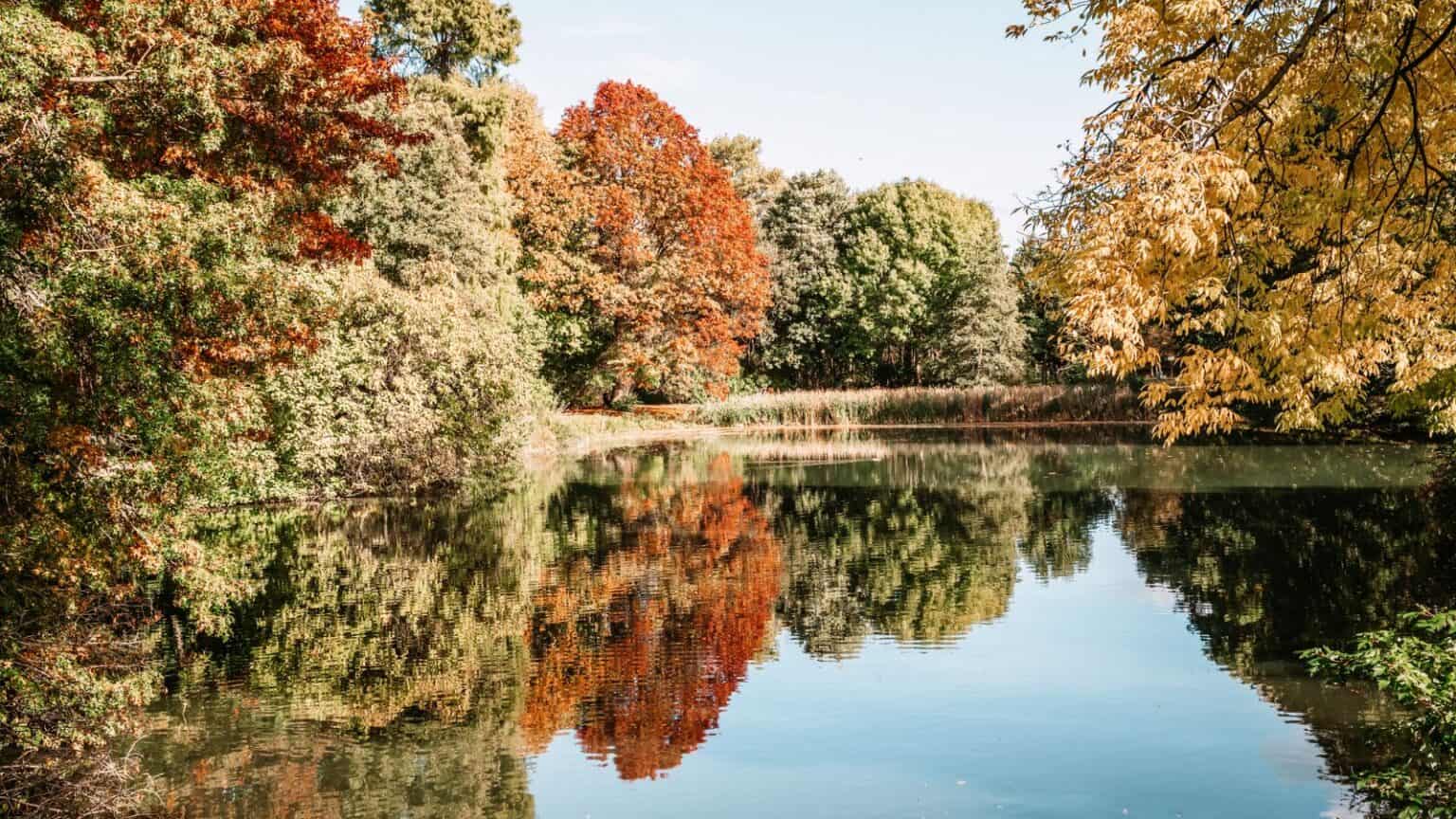 12 Cities Where Fall Foliage Turns the Streets into a Living Art ...