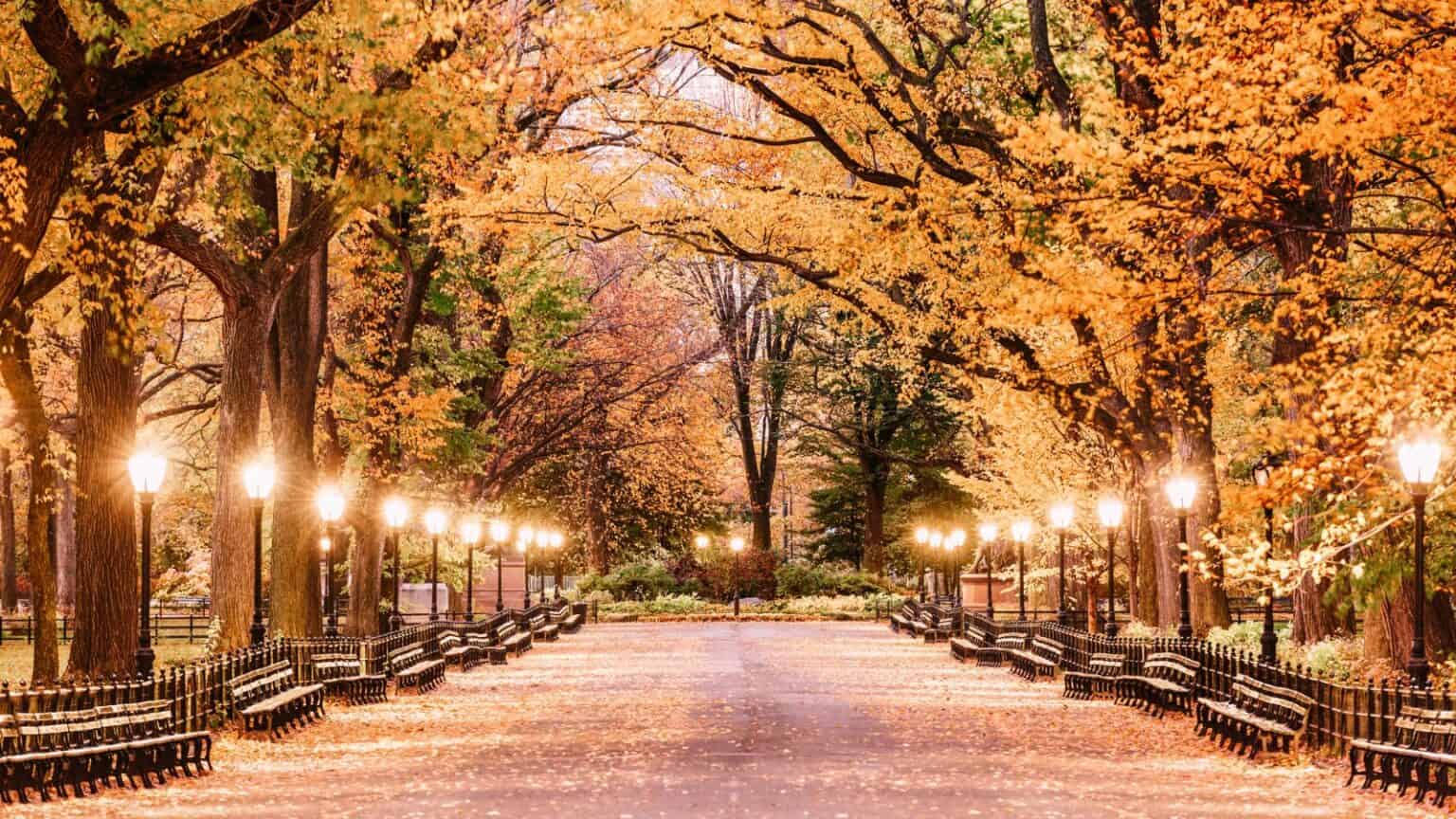 12 Cities Where Fall Foliage Turns the Streets into a Living Art ...