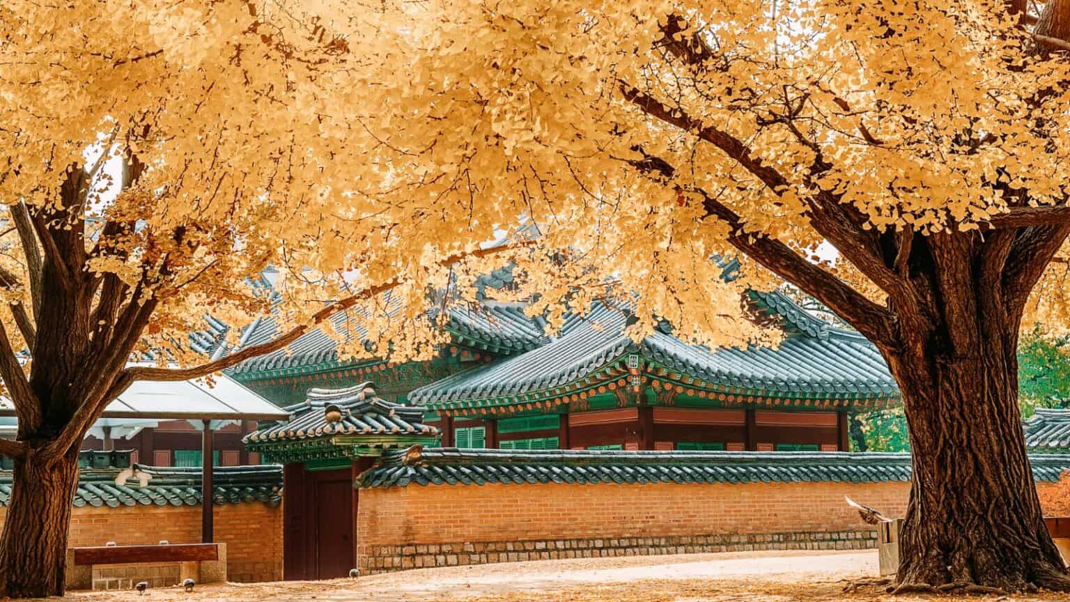 12 Cities Where Fall Foliage Turns the Streets into a Living Art ...
