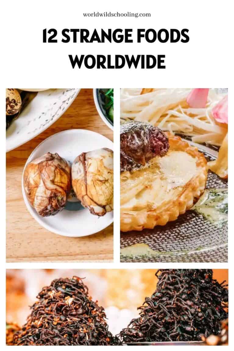 12 of the Weirdest Foods in the World You Won’t Believe Exist