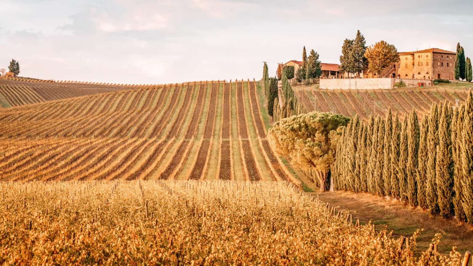 12 Beautiful Fall Foliage Destinations That’ll Make You Wish Autumn ...
