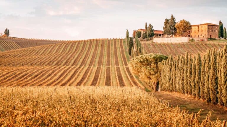 12 Beautiful Fall Foliage Destinations That’ll Make You Wish Autumn ...