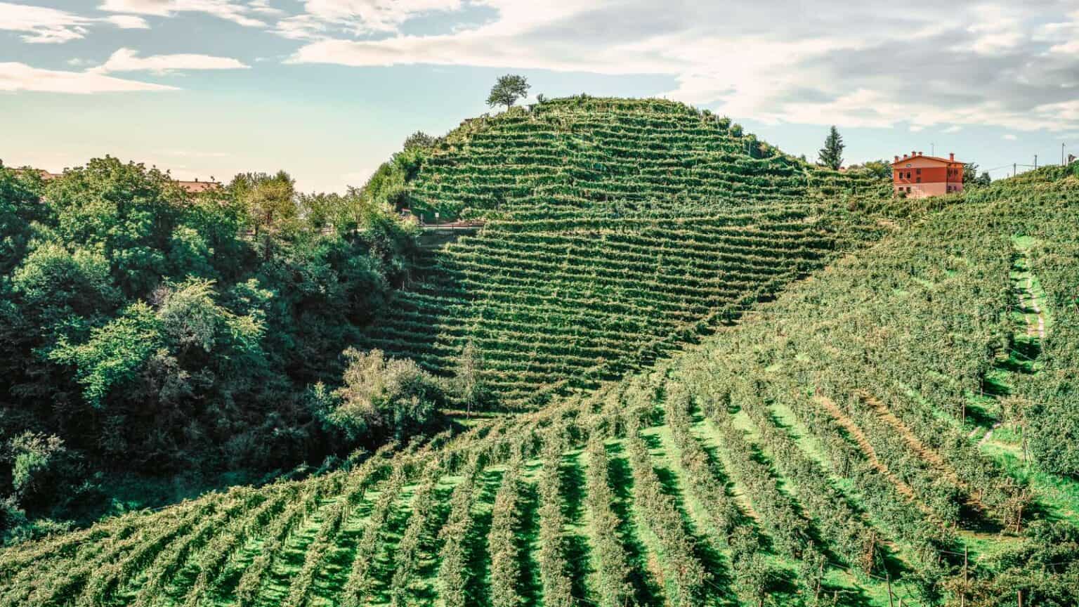 12 Beautiful Hiking Trails in Italy That Prove the Journey Is Just as ...